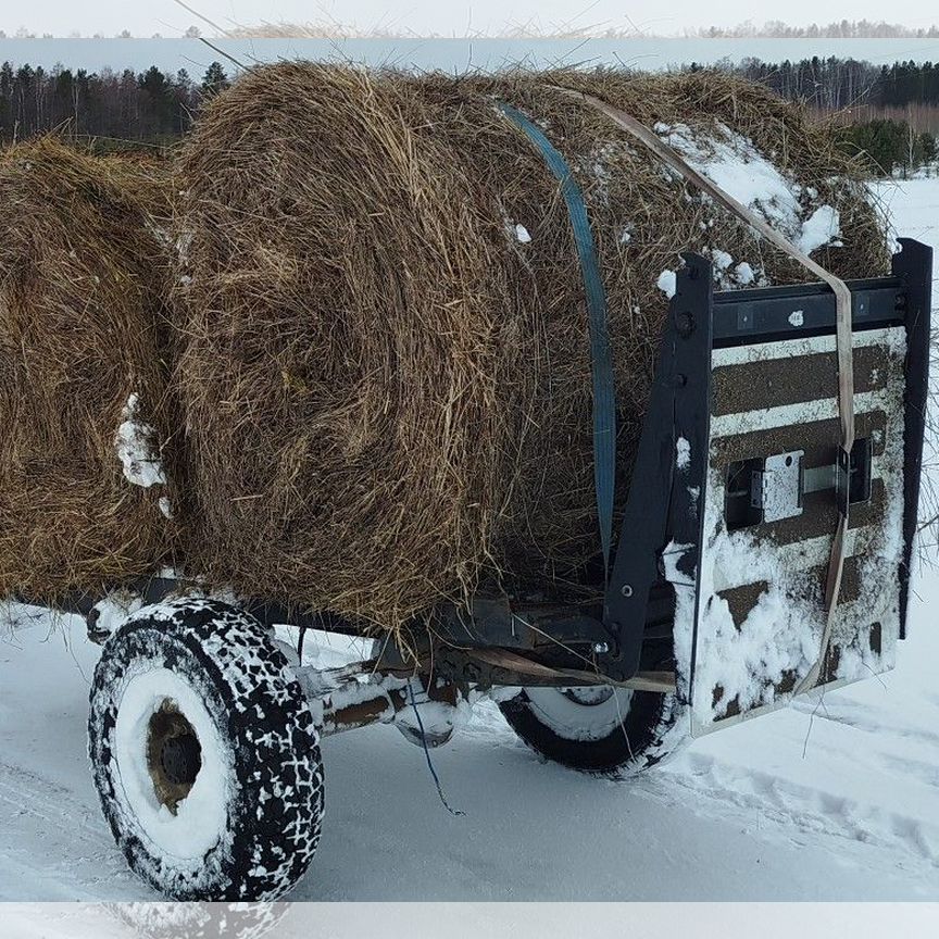 Продам сено в рулонах
