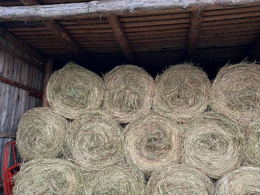 Сено в рулонах
