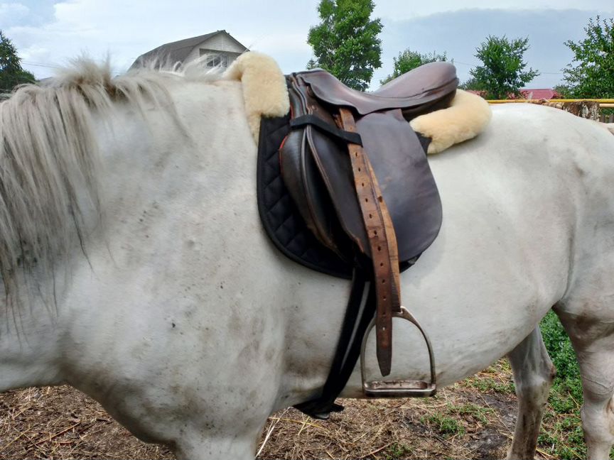 Седло для лошади