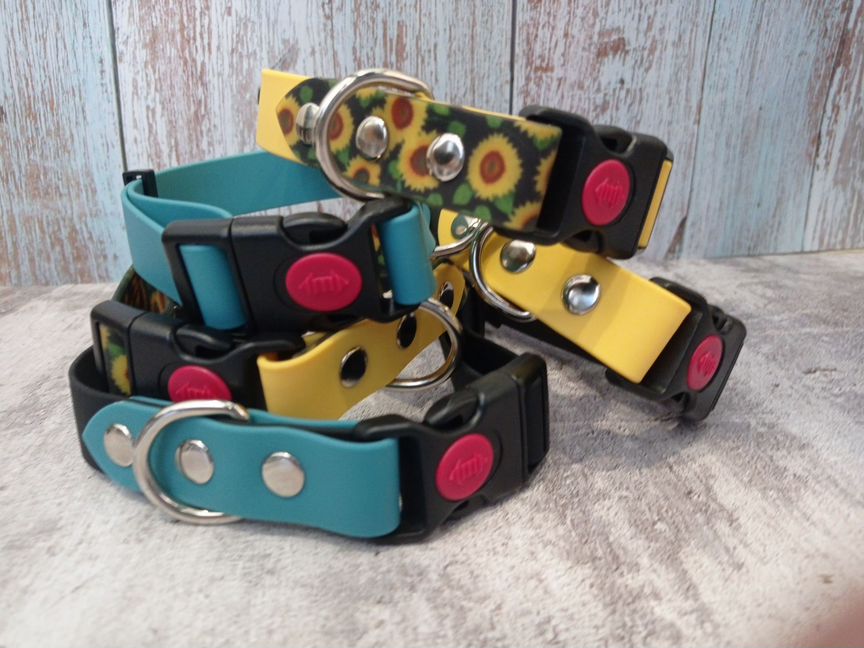 Ошейник из биотана