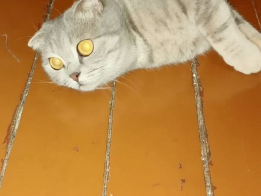 Девочка красавица ищет жениха