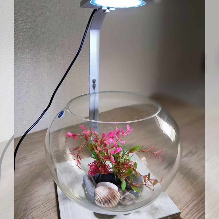 Аквариум с подсветкой