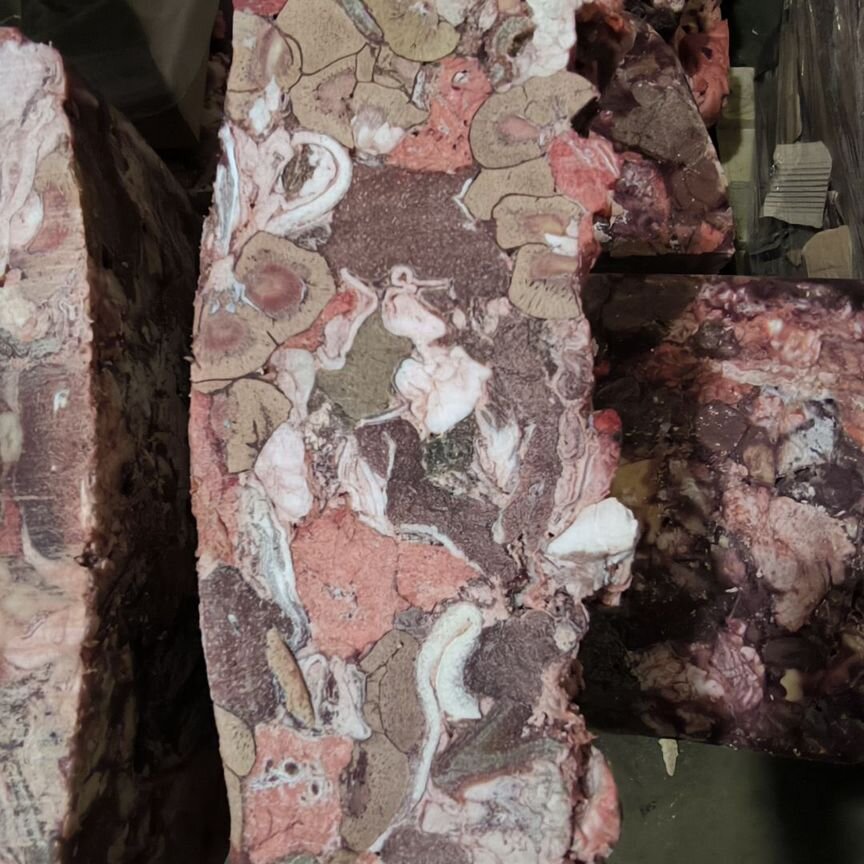 Корм для собак