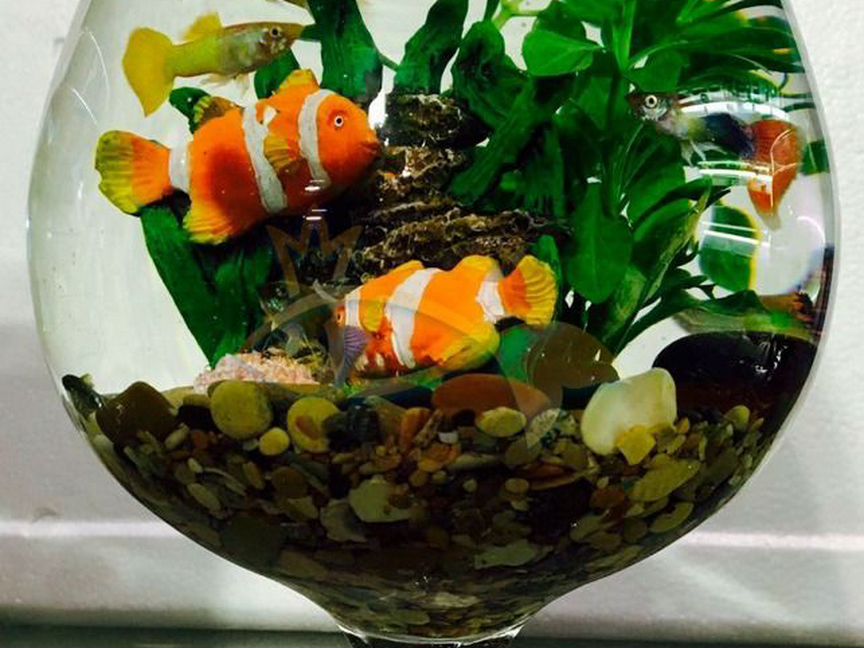 Аквариум бокал 7л