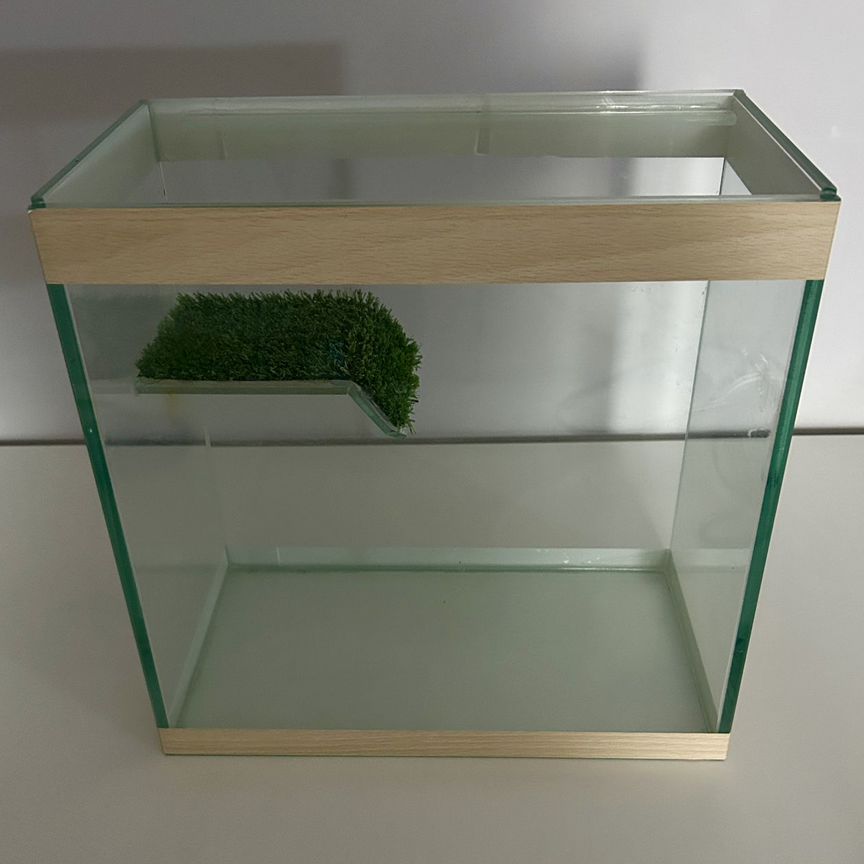 Аквариум для красноухой черепахи