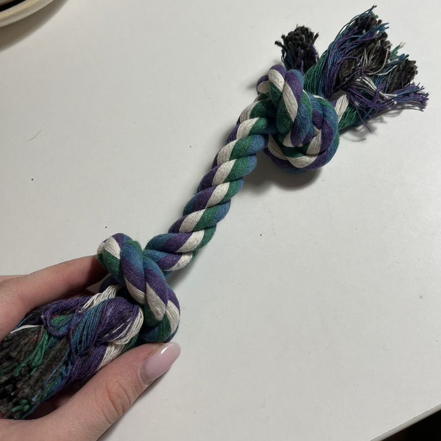 Иноушка для маленький собаки