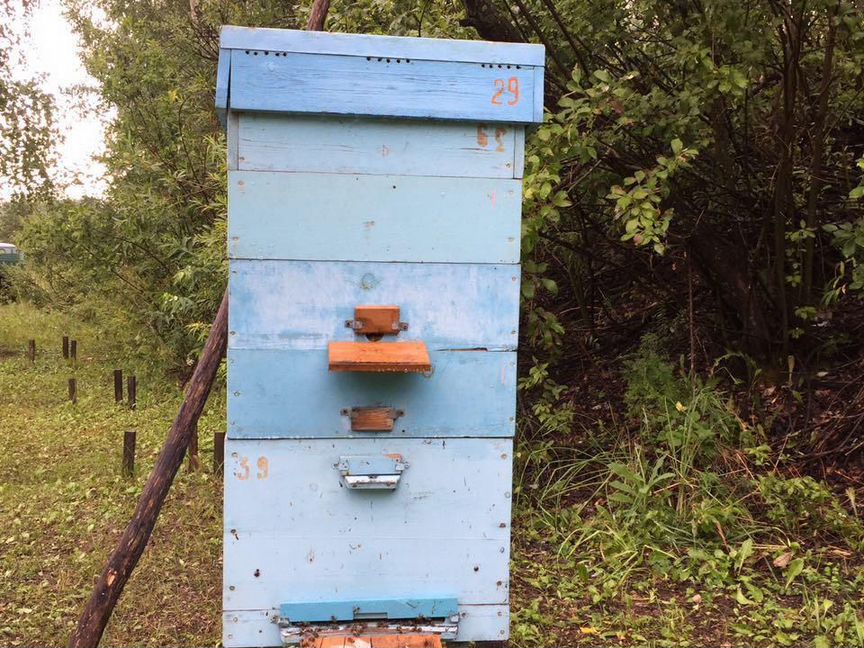 Улей для пчел