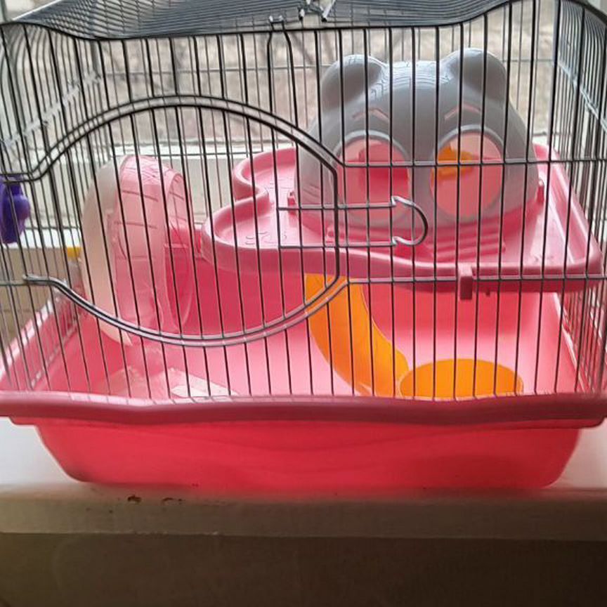 Клетка для хомяка бесплатно