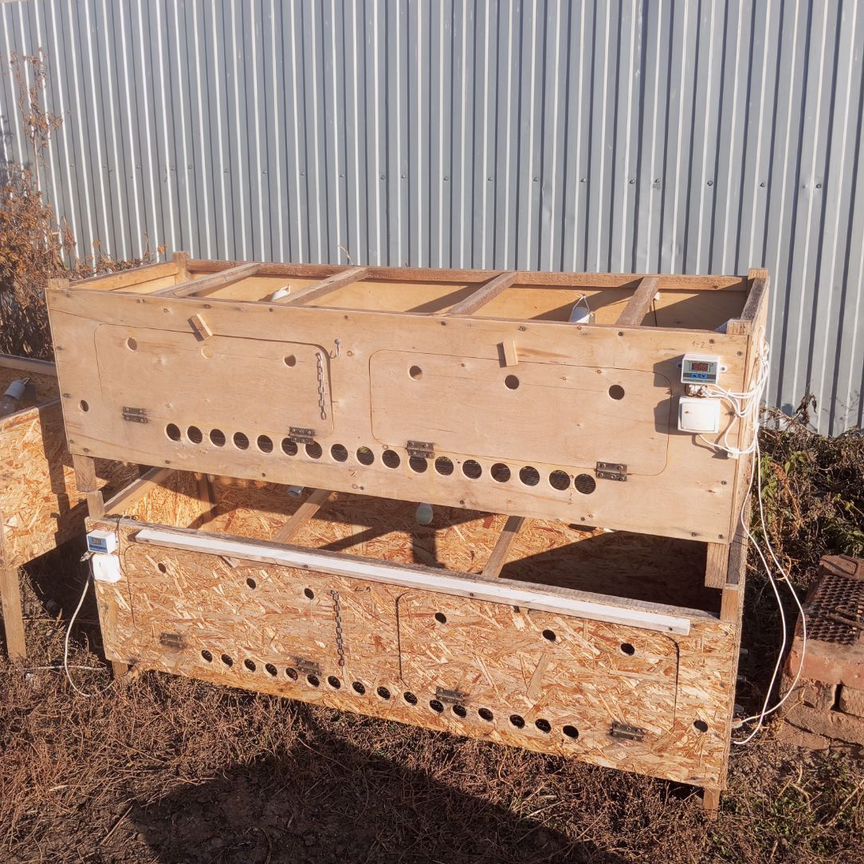 Брудер для цыплят бу