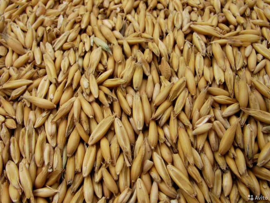 Пшеница,солома в мешках