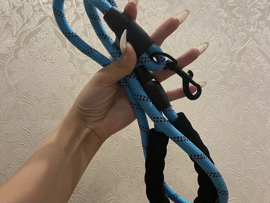 Ошейник и поводок