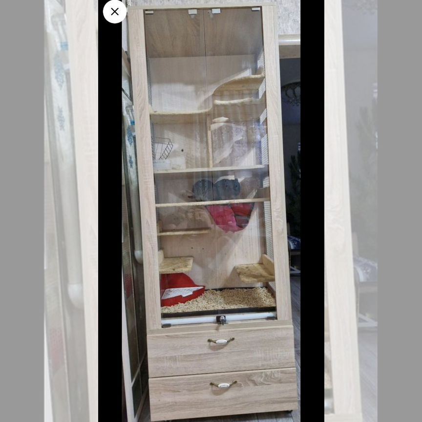 Витрина для шиншилл