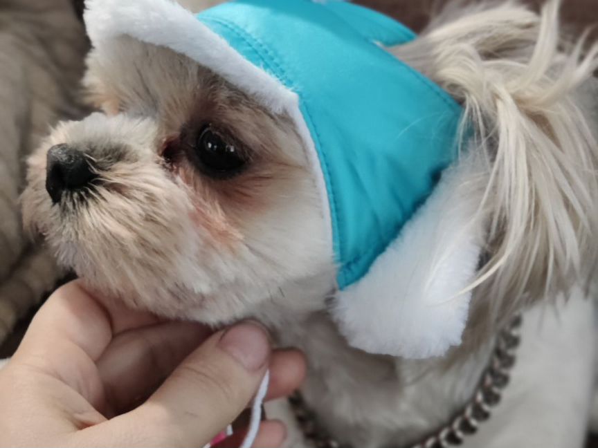 Шапочки и кепочки