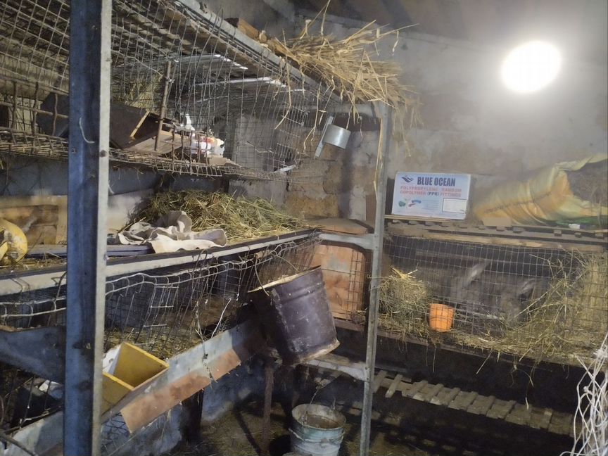 Клетки для кроликов