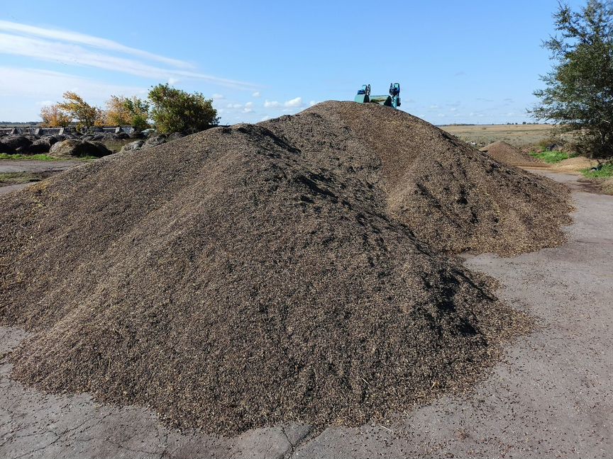 Зерно пшеница, овес, рож