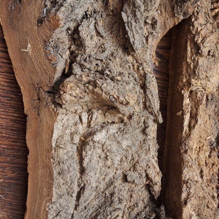 Попугай + Присада, насест, погрызушка, лакомство