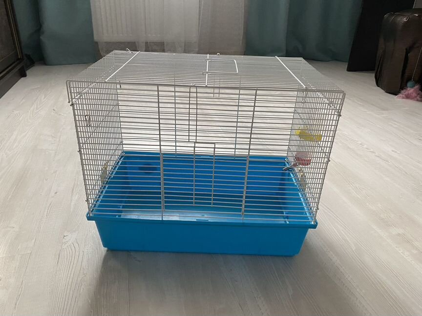 Клетка