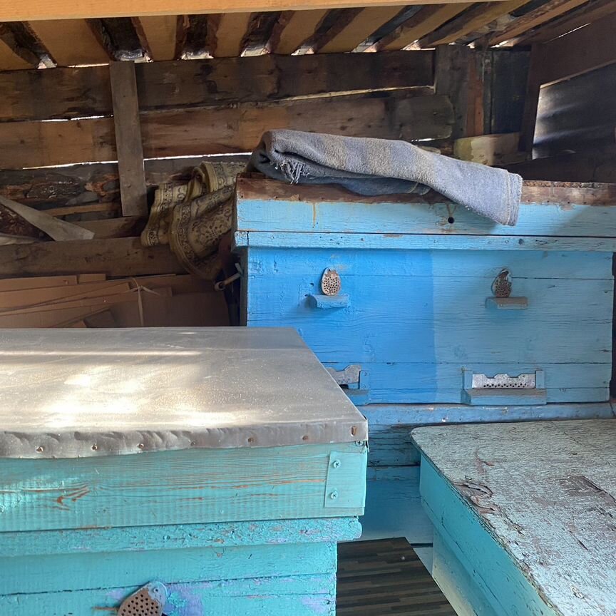 Ульи для пчел