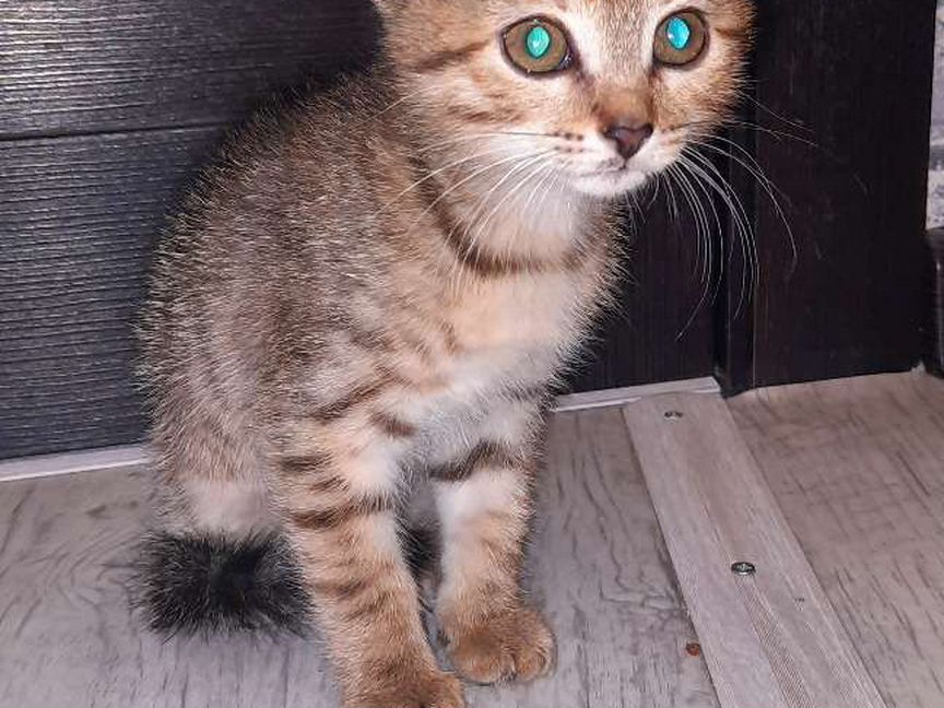 Маленькая очаровашка желает найти любящую семью