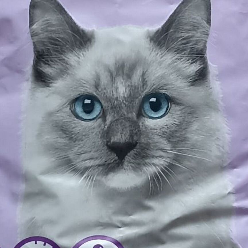 Корм для стирелизованых кошек и котов