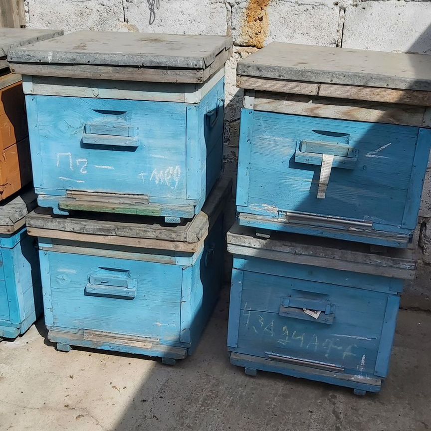 Ульи дадан 12 рамочные