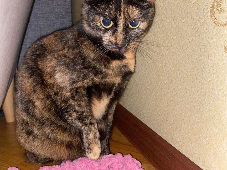 Игрушка для кота (мышка с колокольчиком)