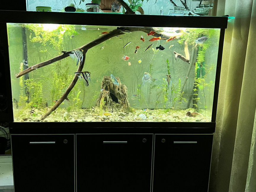 Аквариум 500л 135*55*90 Комплект