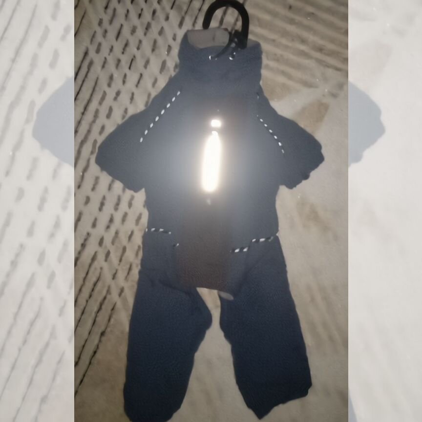 Одежда для кошек и собак