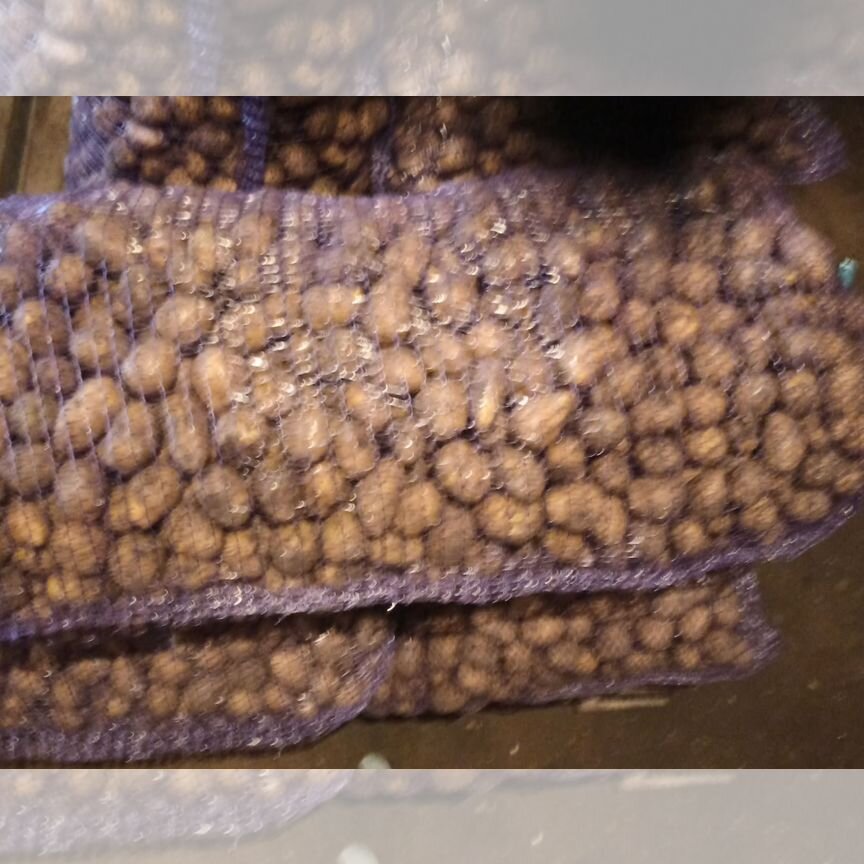 Картофель мелкий на корм скоту