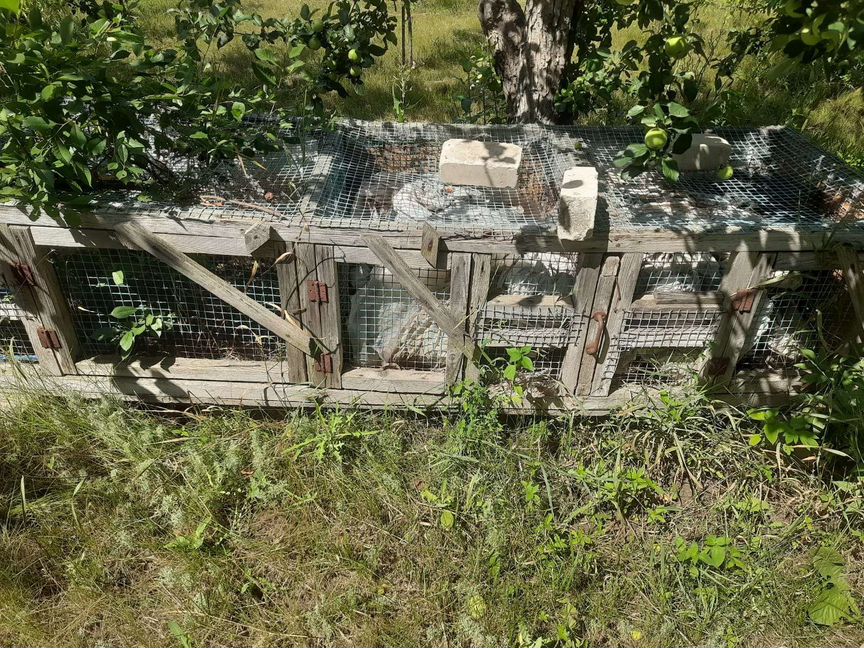 Крольчатники