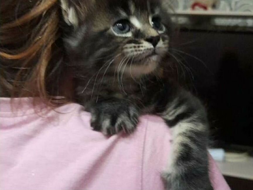 Парни и девчата