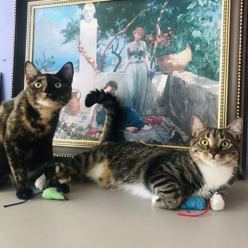 Дети остались без мамы