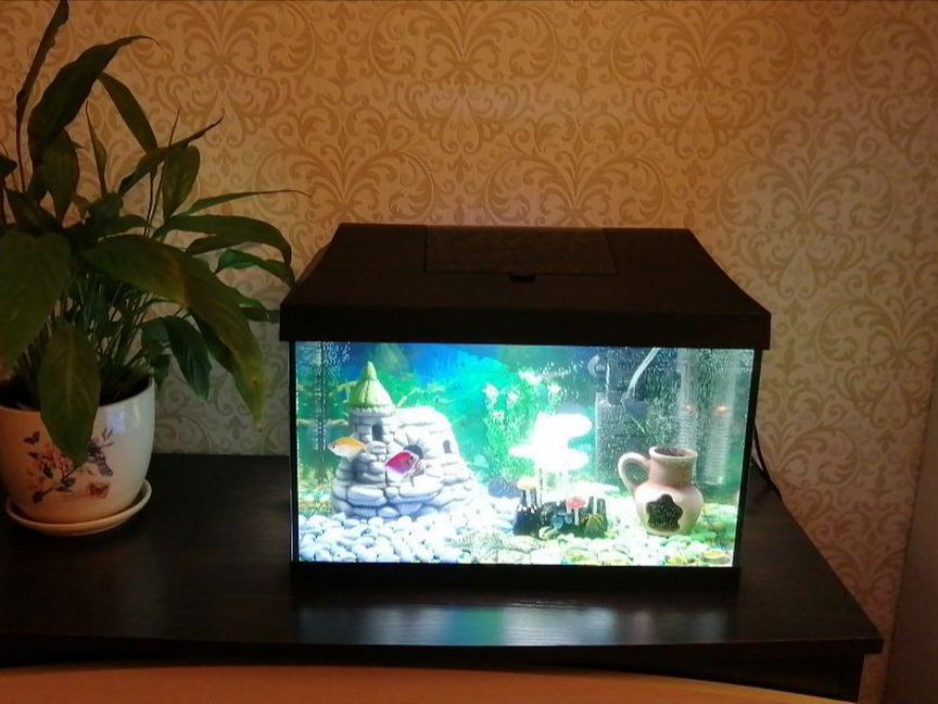 Аквариум Aquael 25 литров /Аквариумный набор
