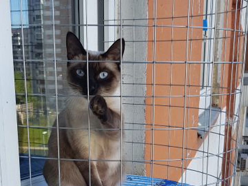 Балкон для кошек на окно «Васька»