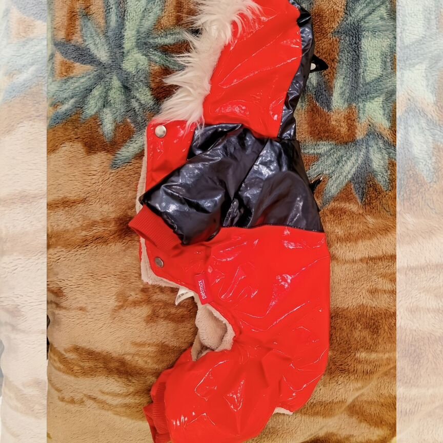 Одежда для собак мелких пород