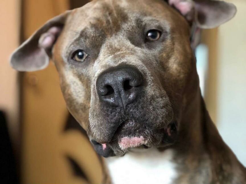 Стафф для вязки