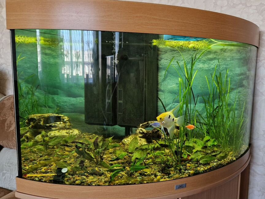 Аквариум угловой Juwеl trigon 190 (объем 190 л.)