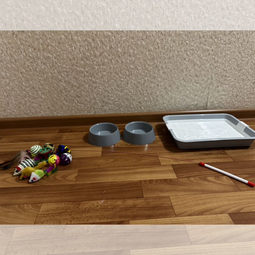 Котёнок от частного владельца