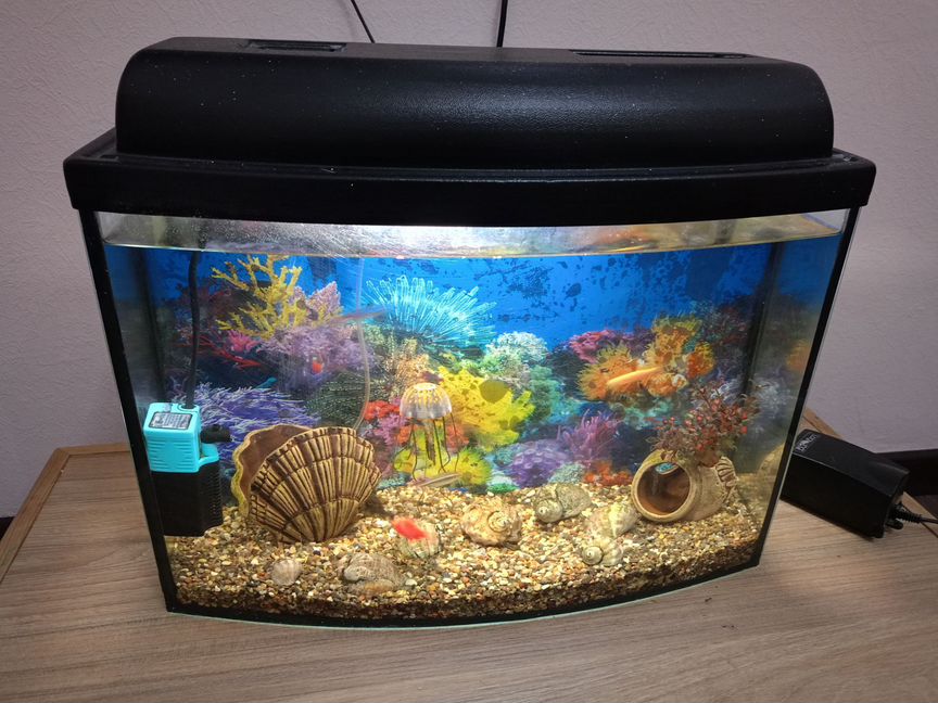 Аквариум с рыбками