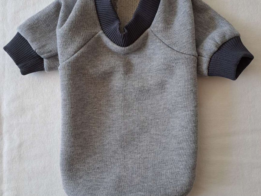 Свитшоты для собак