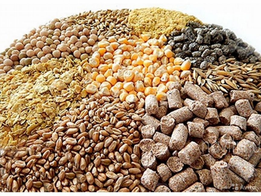 Зерно, пшеница, ячмень, Комбикорм