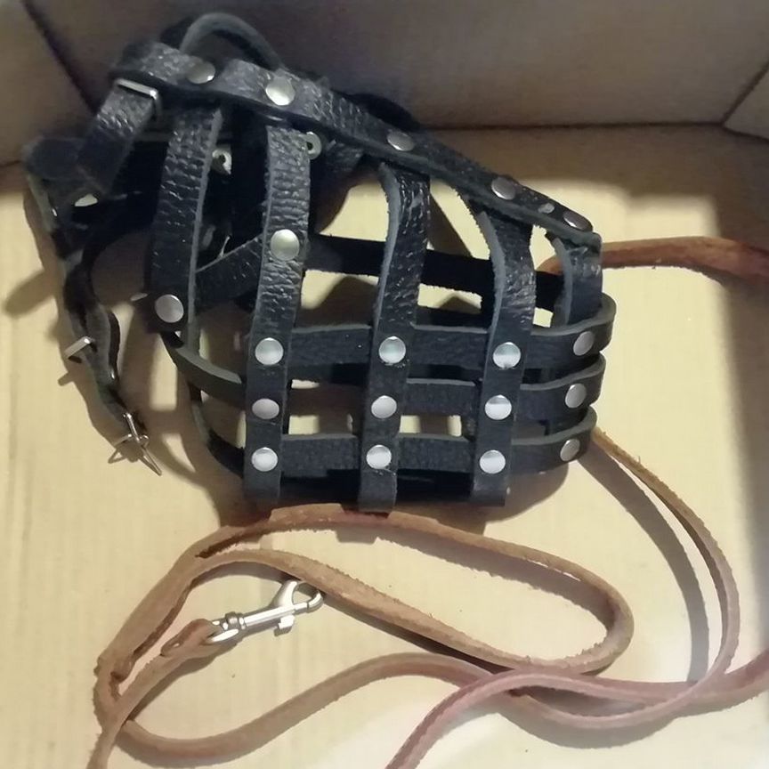 Кожаные намордник и поводок