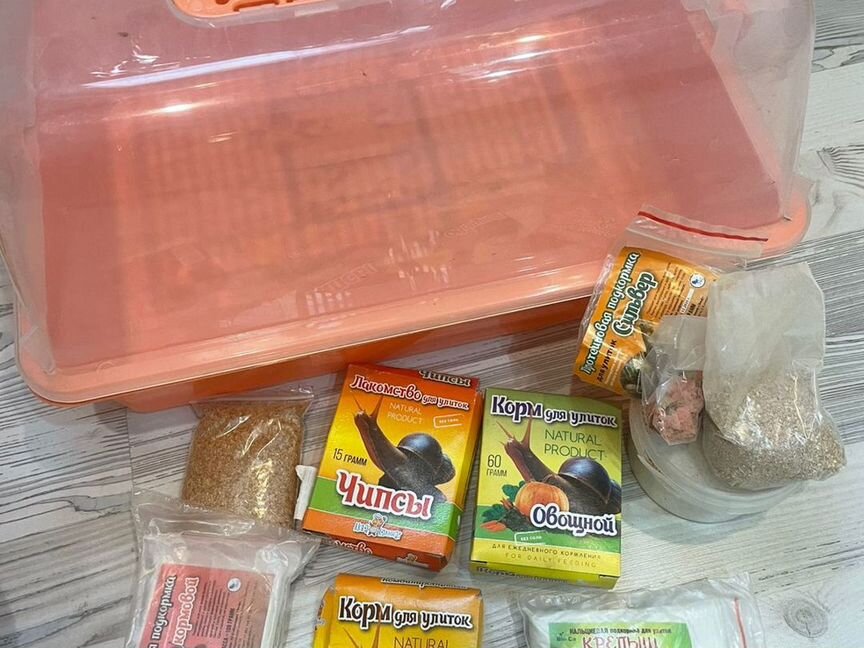 Террариум для улиток