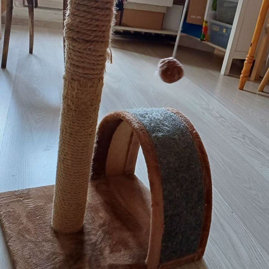 Когтеточка