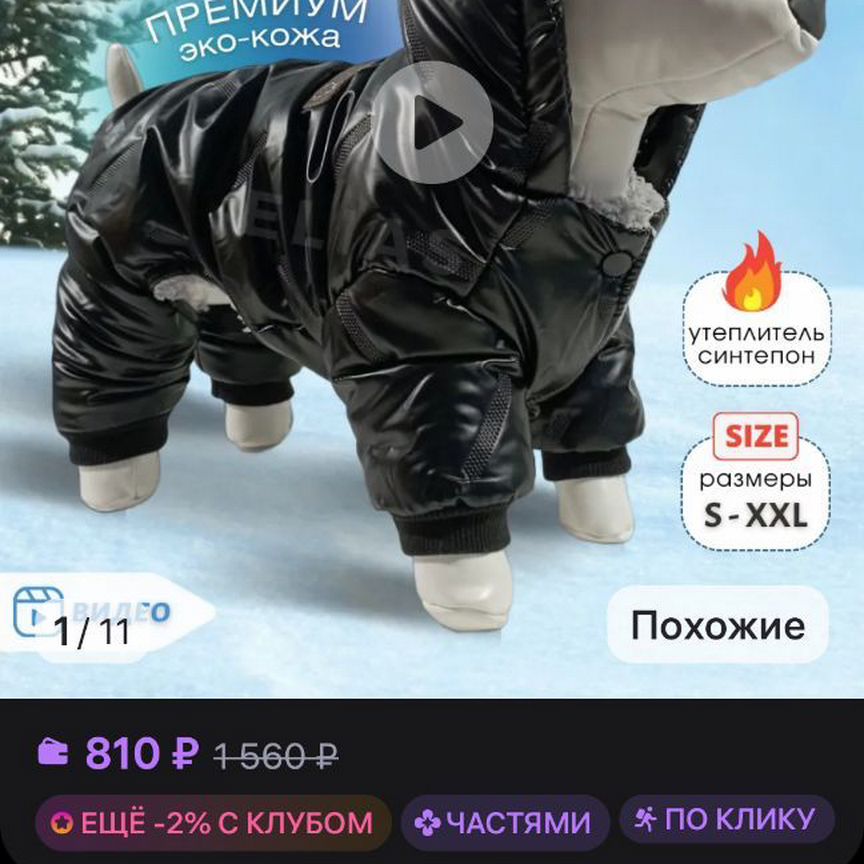 Одежда для собак мелких пород зима девочка