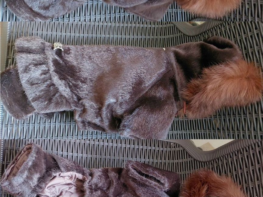 Зимняя одежда для собак мелких пород