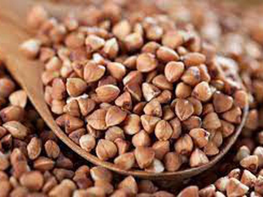 Семена Гречихи сорт Девятка рс 2 ; нут; пшеница тв