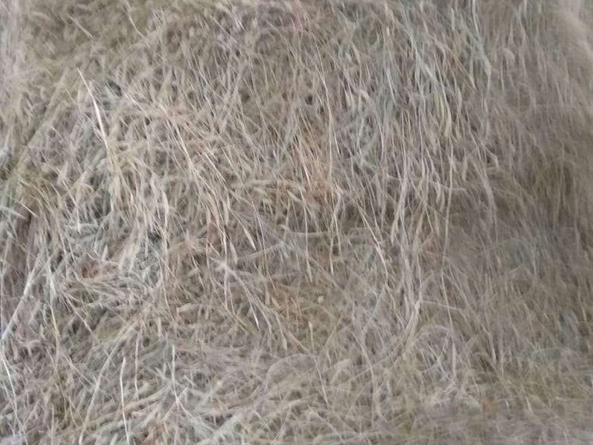Продам сено луговое самостоятельно косили