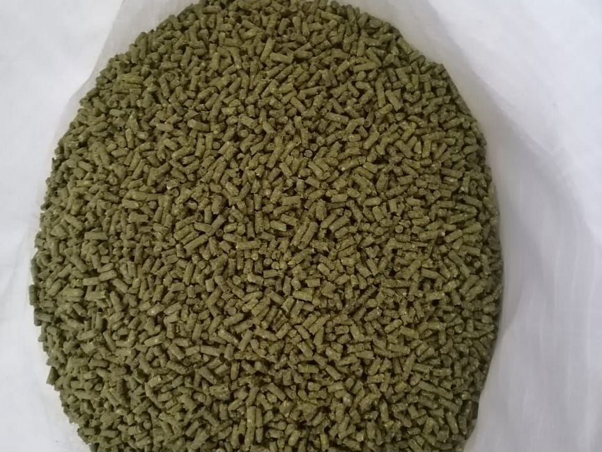 Зерно, гранулы