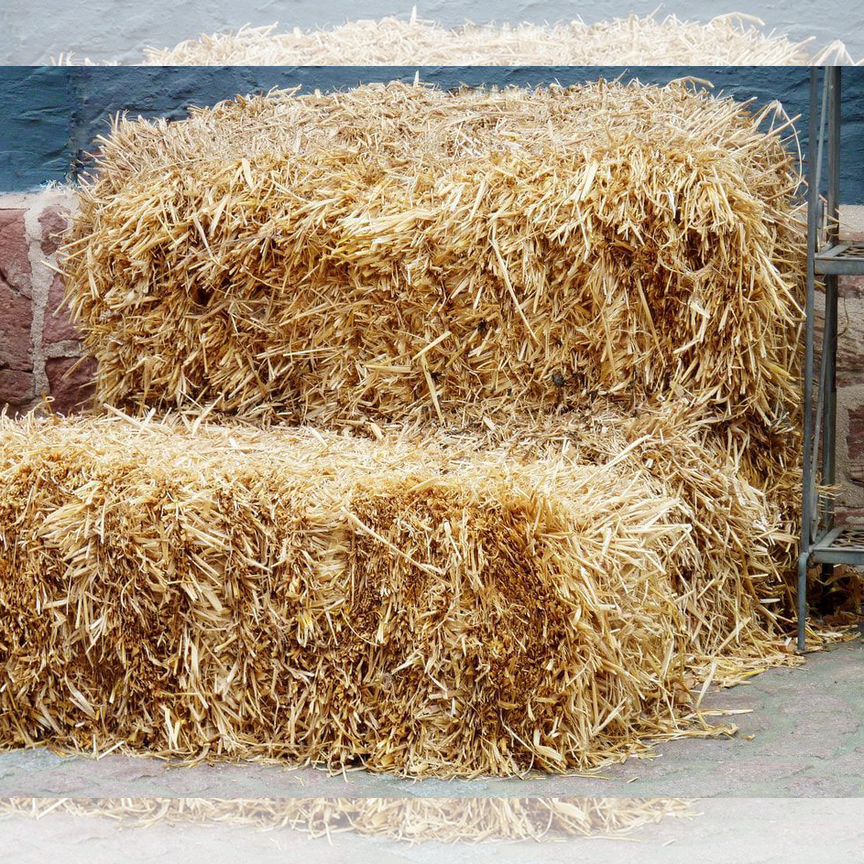 Солома в кипах просяная